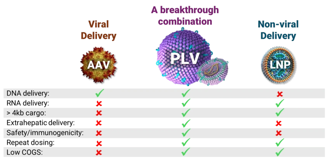 Cell：超越AAV和LNP，全新核酸递送平台——蛋白脂质载体（PLV），有望开启基因治疗新时代