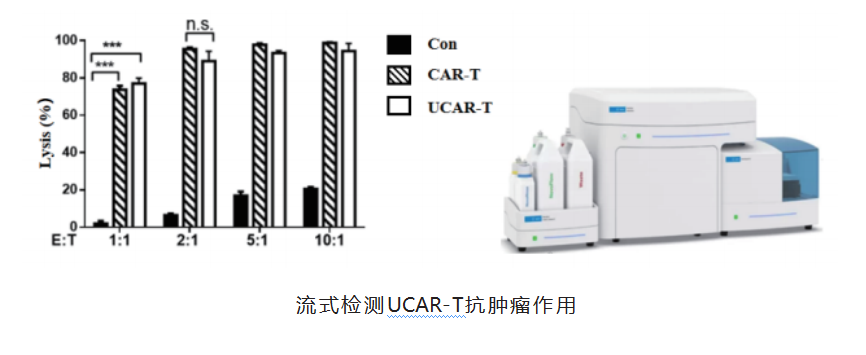 上海佰炼生物医药科技有限公司