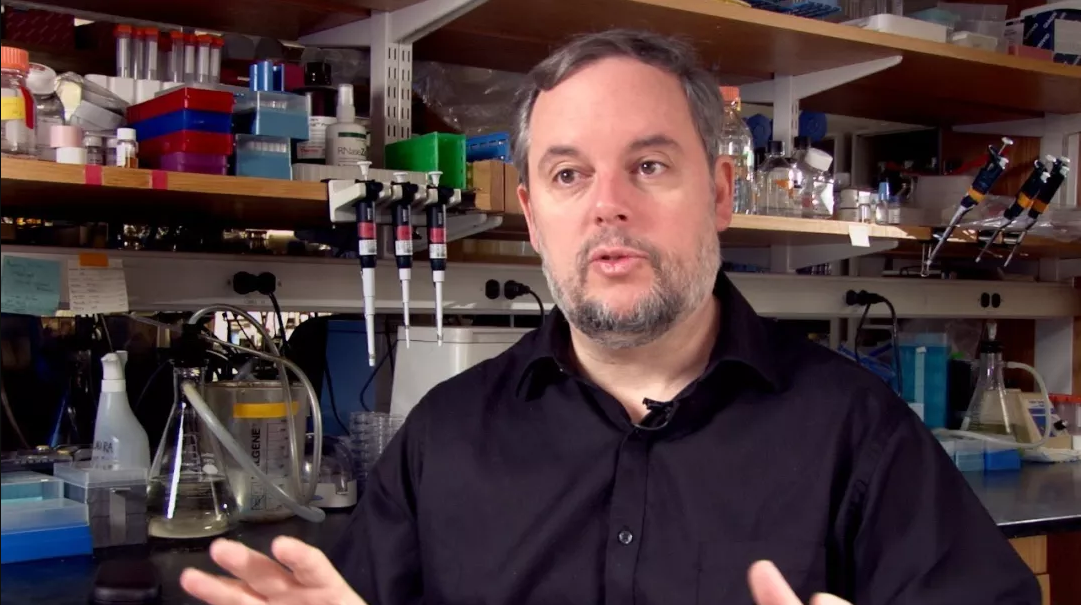 诺华和安斯泰来投资，这家TCR-T公司完成B轮融资