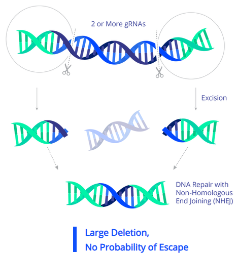 基因疗法EBT-101即将实现HIV-1的功能性治愈