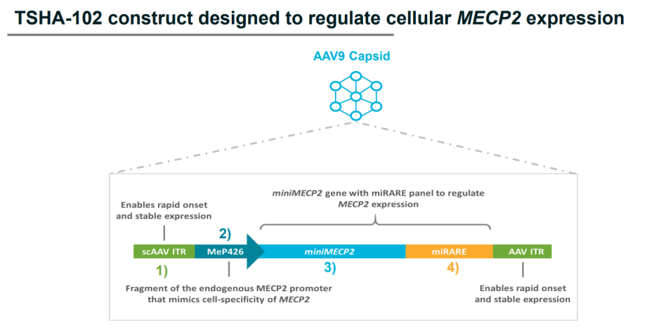 从Taysha绝地逢生获1.5亿美元融资，看AAV基因疗法在CNS领域的开发现状与挑战