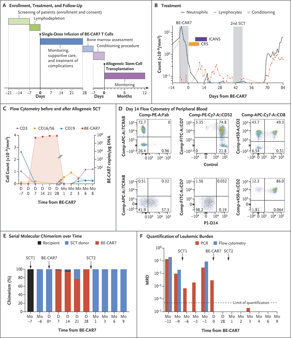 治疗多种癌症类型，“通用”CAR-T细胞要来了？