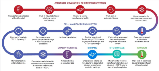 重磅！全球首款TIL疗法获FDA批准上市！