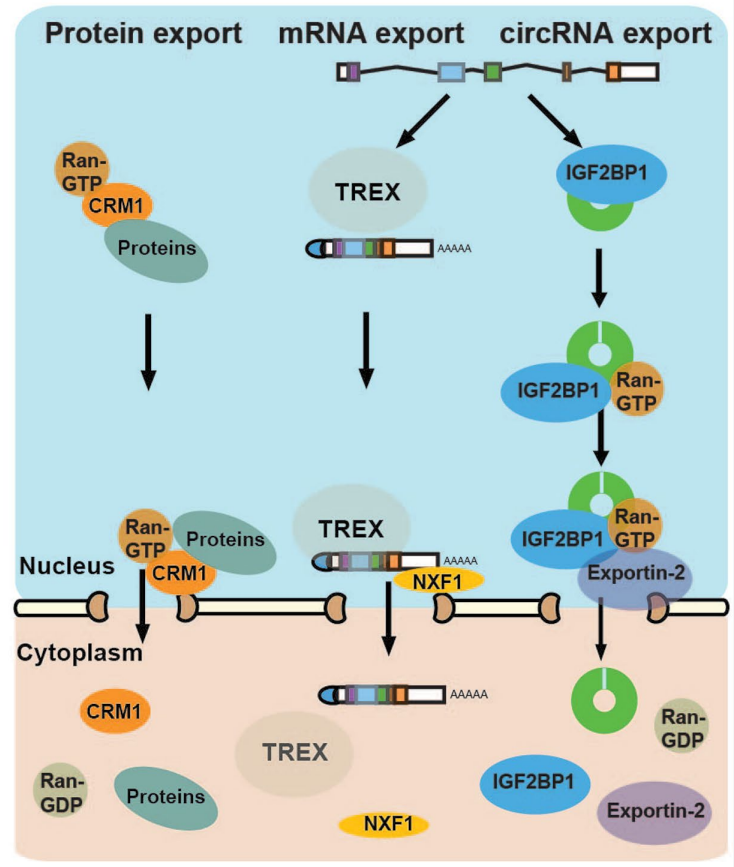 医麦客 - 中国生物医药产业新媒体
